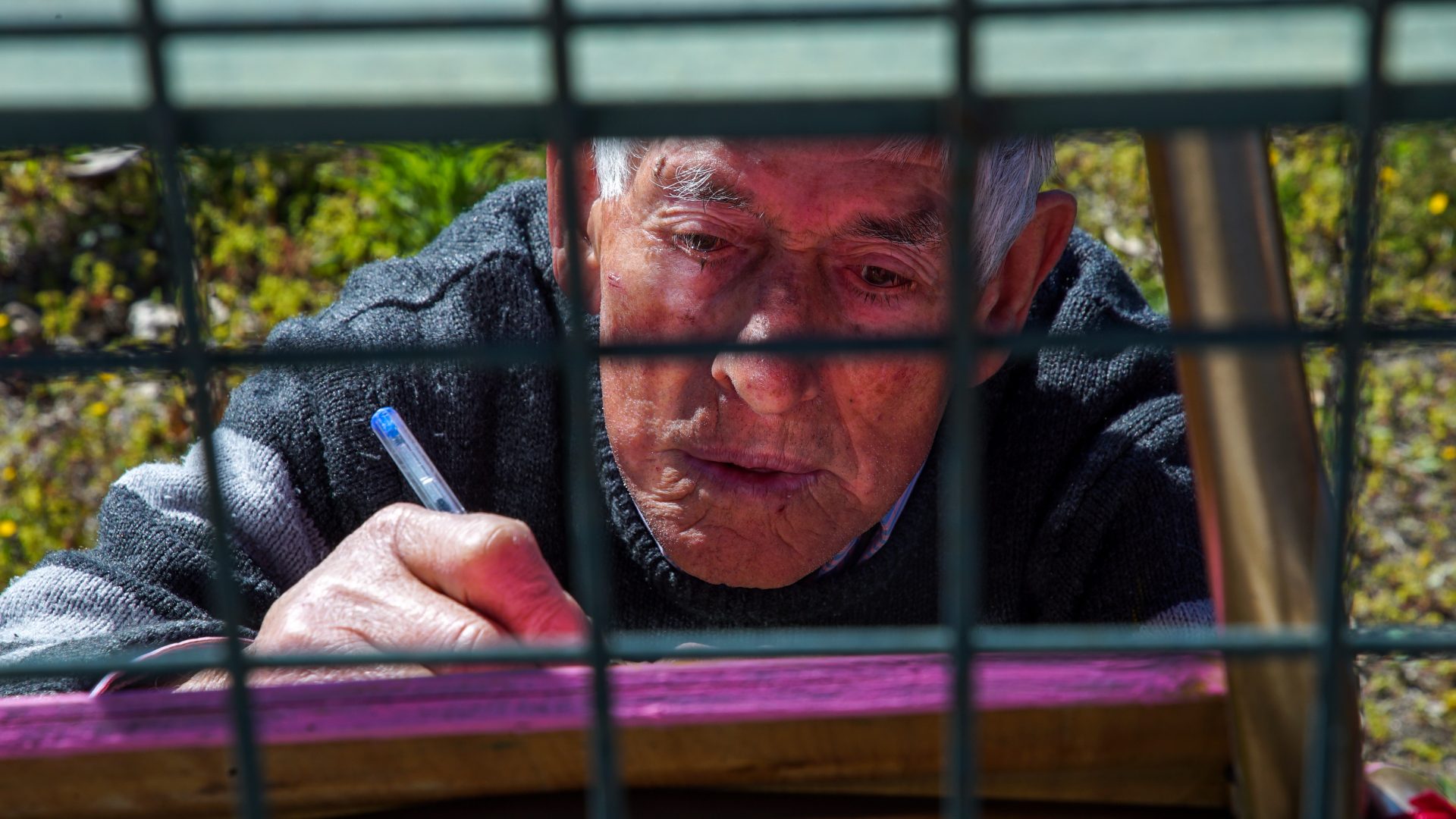 Saúde | Estimulação Cognitiva - Caisa